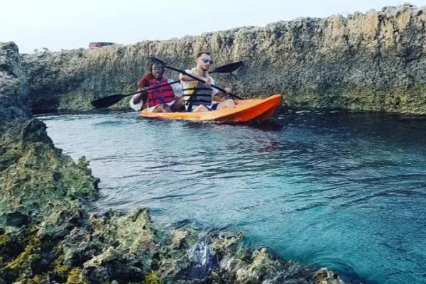 Aruba: Clear-Bottom Mangrove Forest Kayak Boat Tour | TravelON World